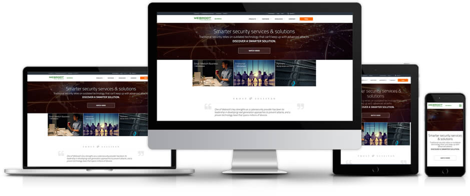 Business/Enterprise Site Redesign & Mobilization - Cloudburst Design